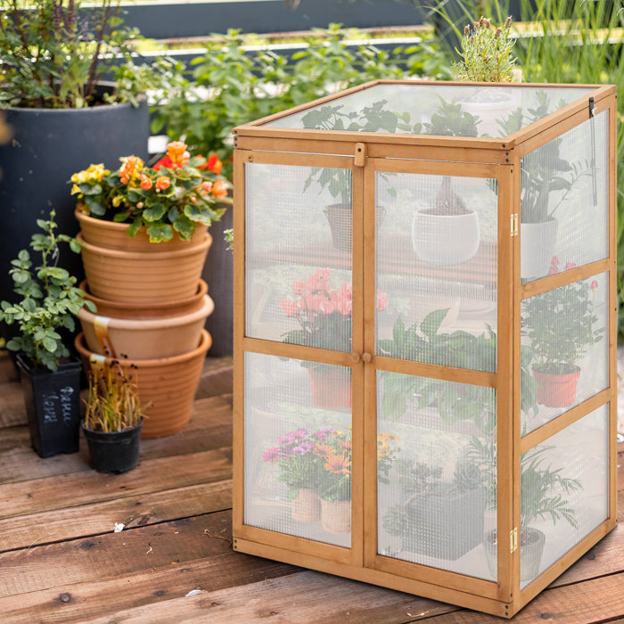EAGLE PEAK 30'' W x 22'' D Cold Frame Greenhouse & Reviews | Wayfair